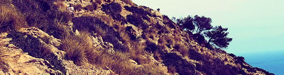 Stoid – Effex Expo – STOID